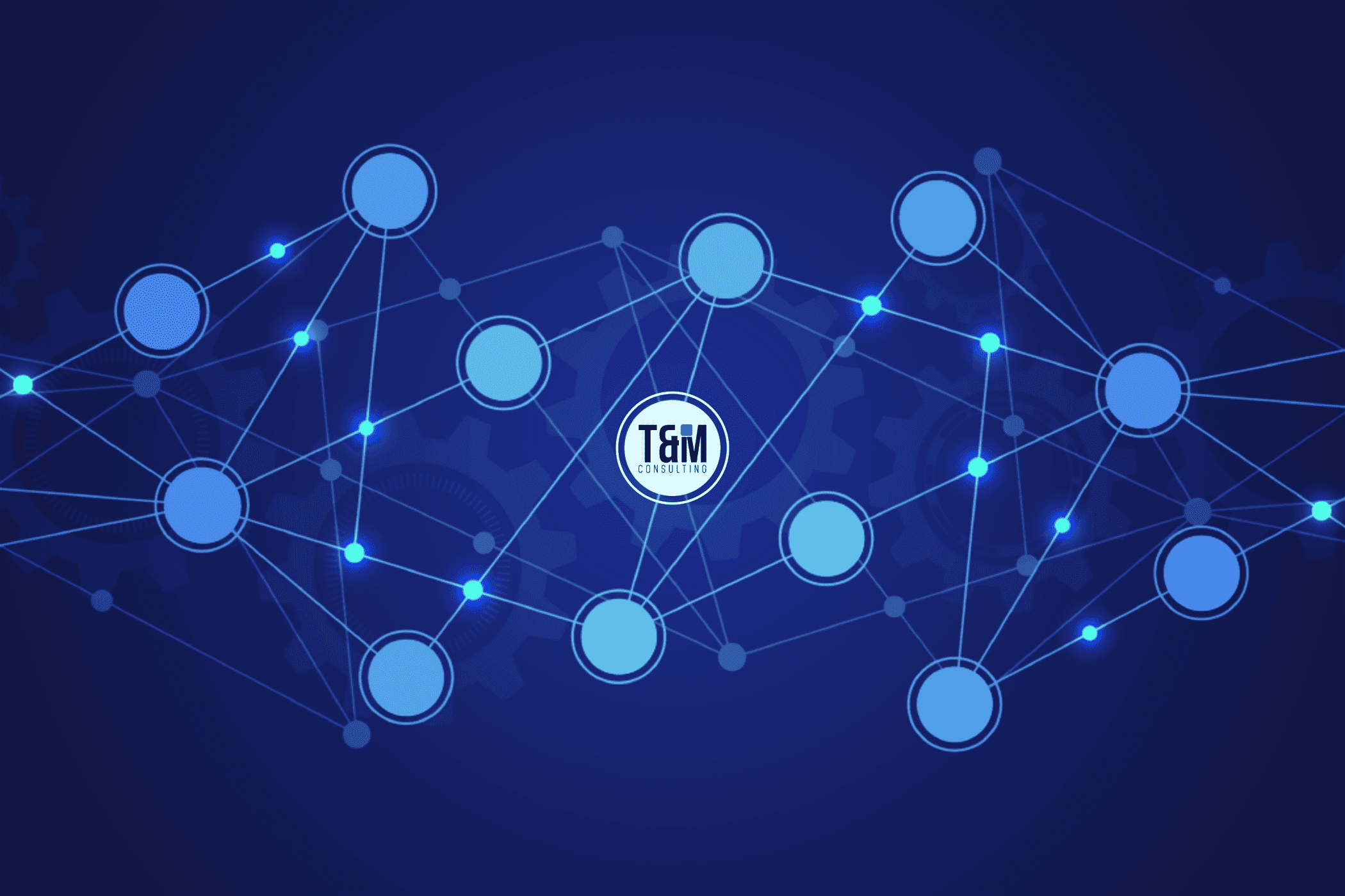 T&M Consulting